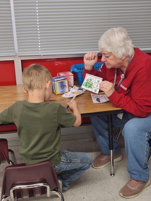 Community Services – WRAAA